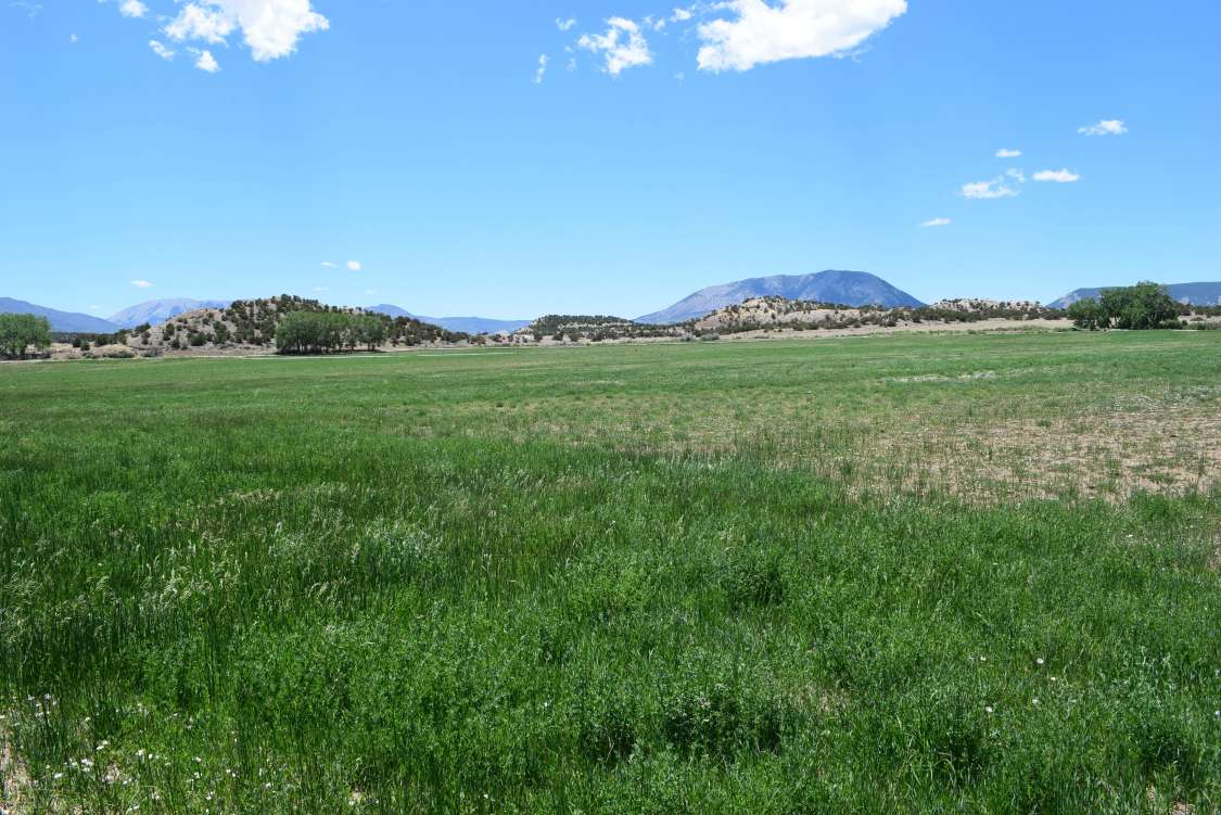 United States of America, Colorado, Huerfano, Agricultural-Horse ...