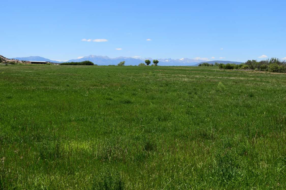 United States of America, Colorado, Huerfano, Agricultural-Horse ...